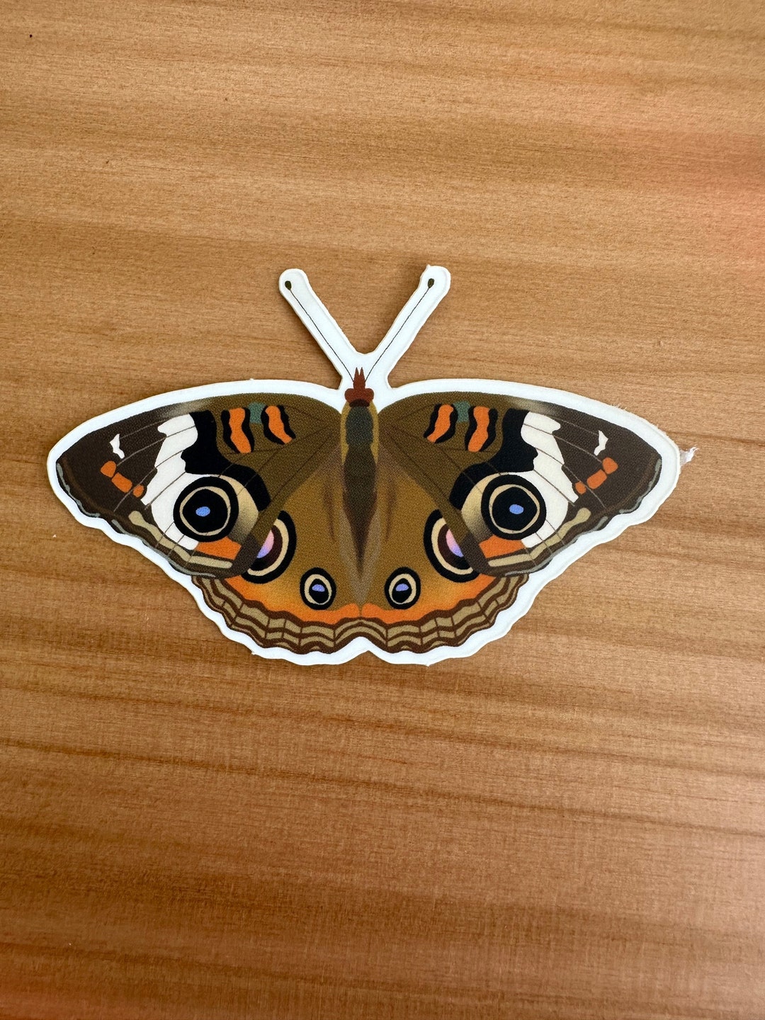 Common Buckeye Butterfly Sticker - Etsy