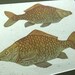 The Linocut Print_original Print_the Fish_ Golden Fish_ Carp - Etsy