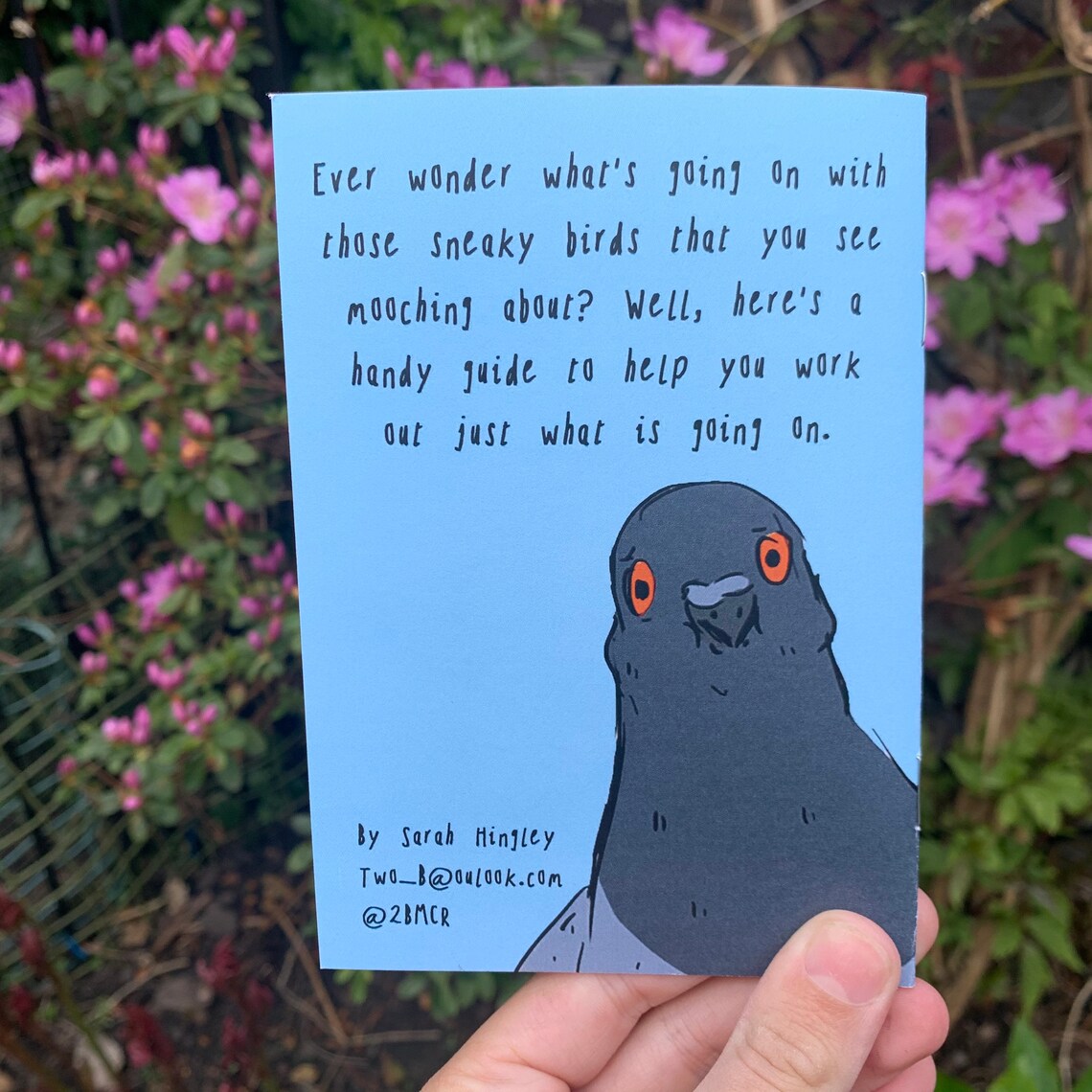 Birds You Can Trust Bird Cute Animal Comic Zine A6 - Etsy