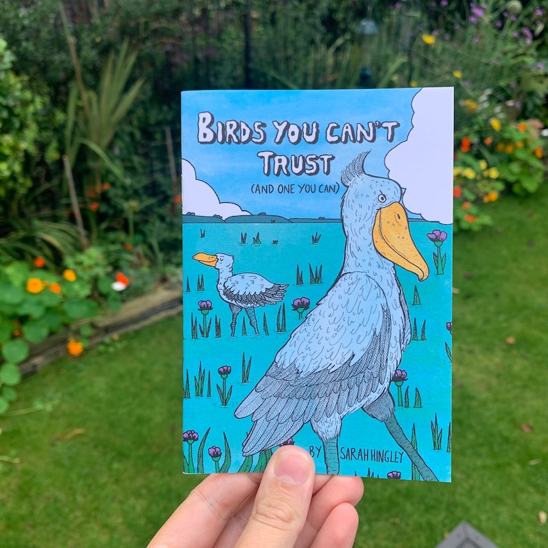 Birds You Cant Trust Sequel Bird Cute Animal Comic Zine A6 | Etsy