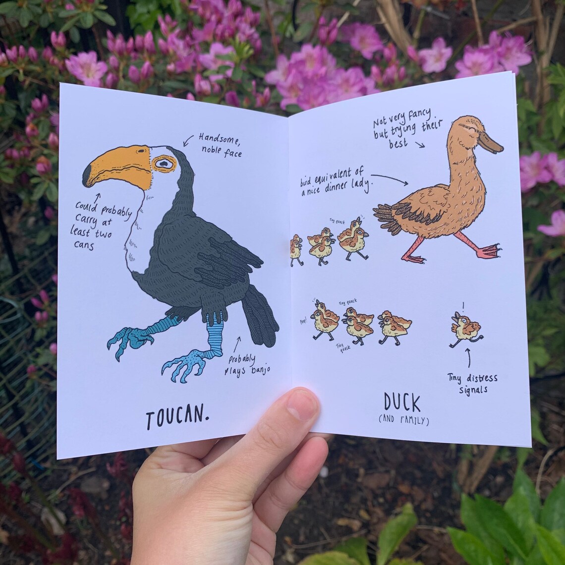 Birds You Can Trust Bird Cute Animal Comic Zine A6 - Etsy