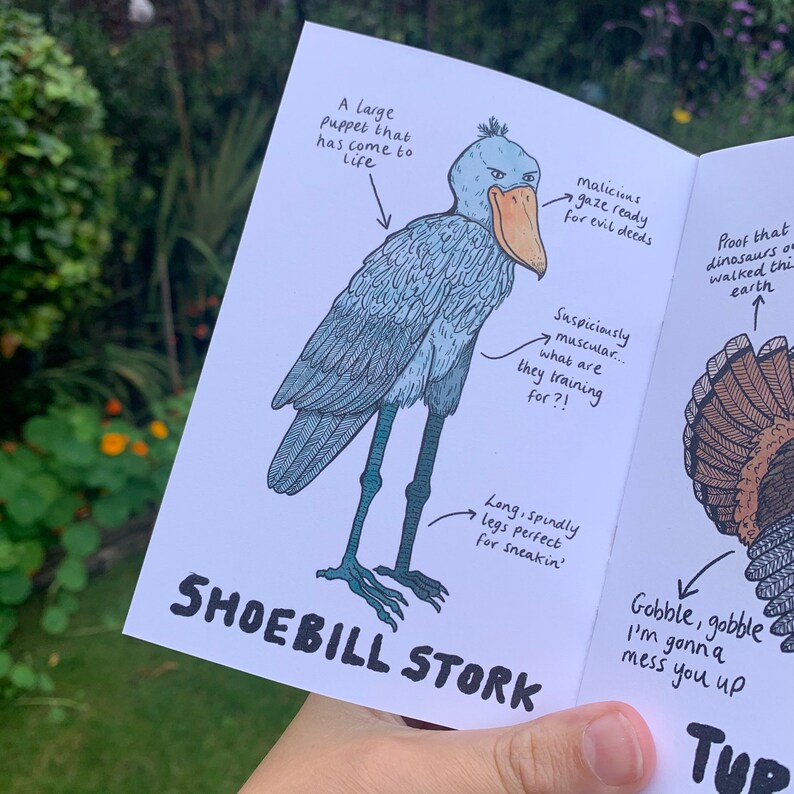 Birds You Cant Trust Sequel Bird Cute Animal Comic Zine A6 | Etsy