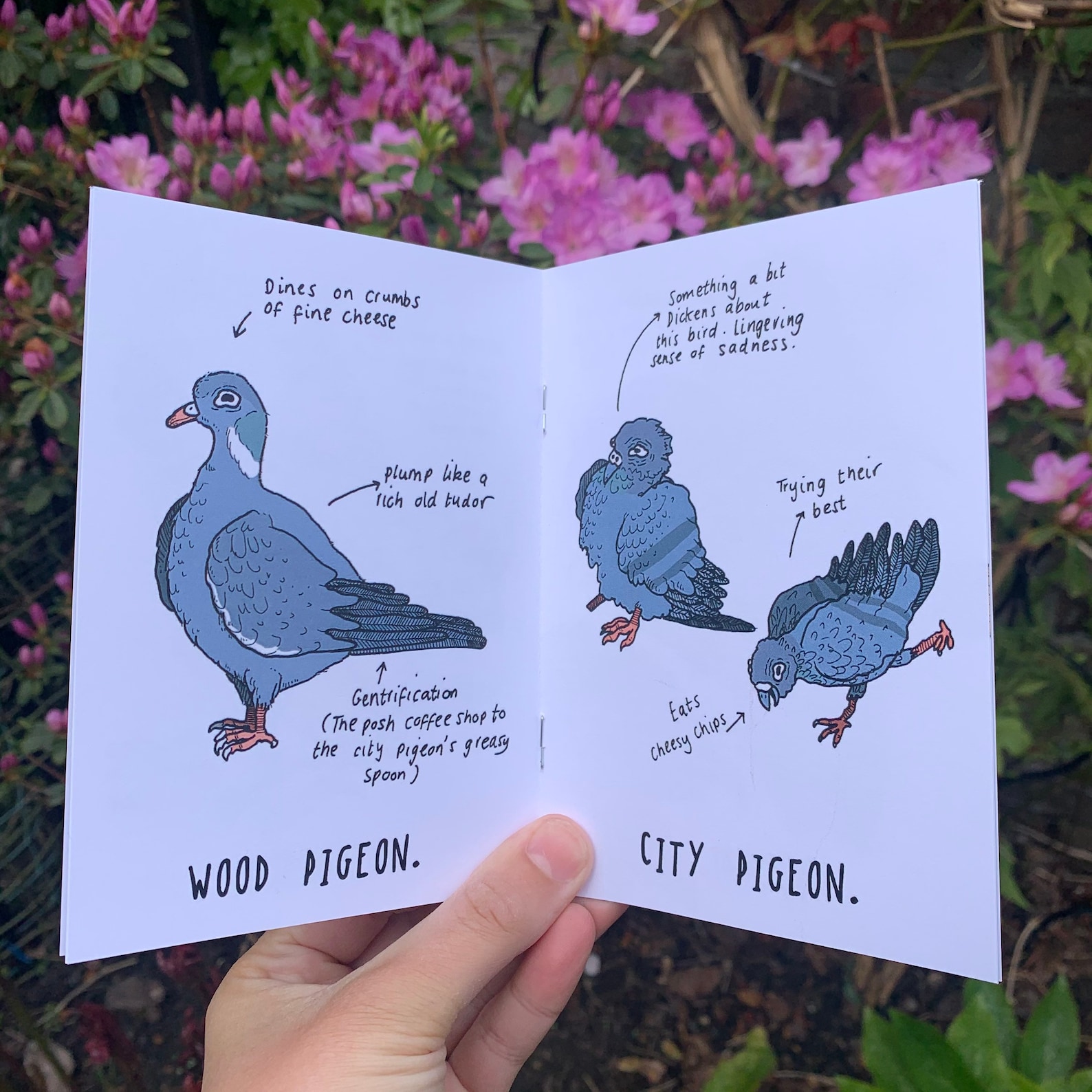 Birds You Can Trust Bird Cute Animal Comic Zine A6 - Etsy