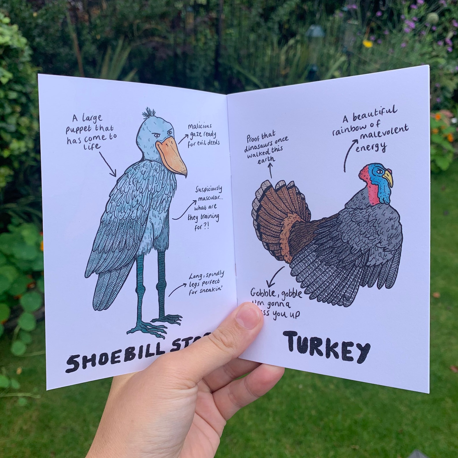 Birds You Cant Trust Sequel Bird Cute Animal Comic Zine A6 | Etsy