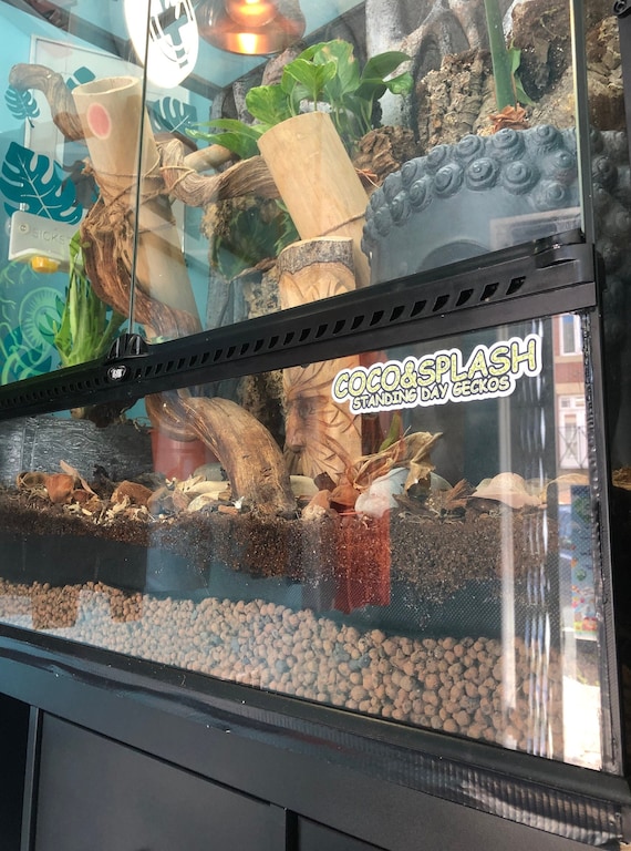 Custom Printed Vinyl Reptile Decoration Walter Proof - Etsy