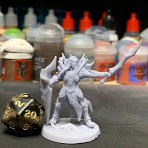 Sylvan Knights - Dnd, Dungeons and Dragons, Tabletop Gaming, Miniature ...