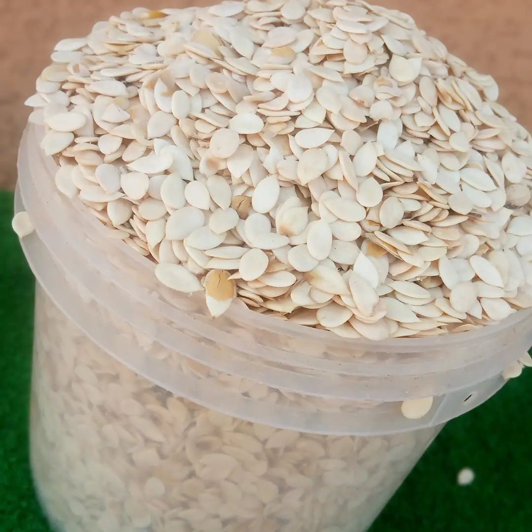 Melon Seeds/whole Hand-peeled Egusi Seeds/one Derica/ 850 Grams/ 0.85 ...