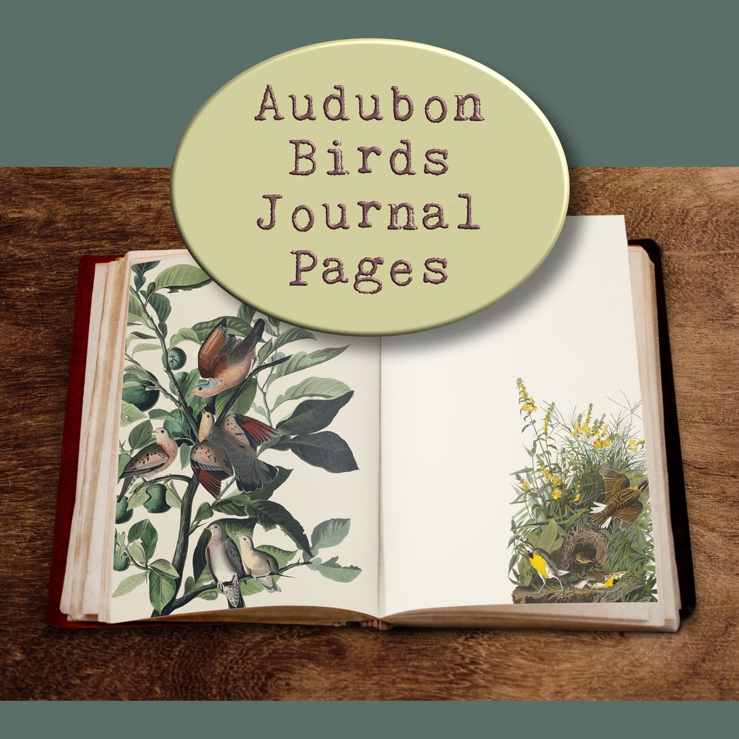 Audubon Birds Printable Journal Kit, Birdwatching Journal Pages ...