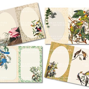 Audubon Birds Printable Journal Kit, Birdwatching Journal Pages ...