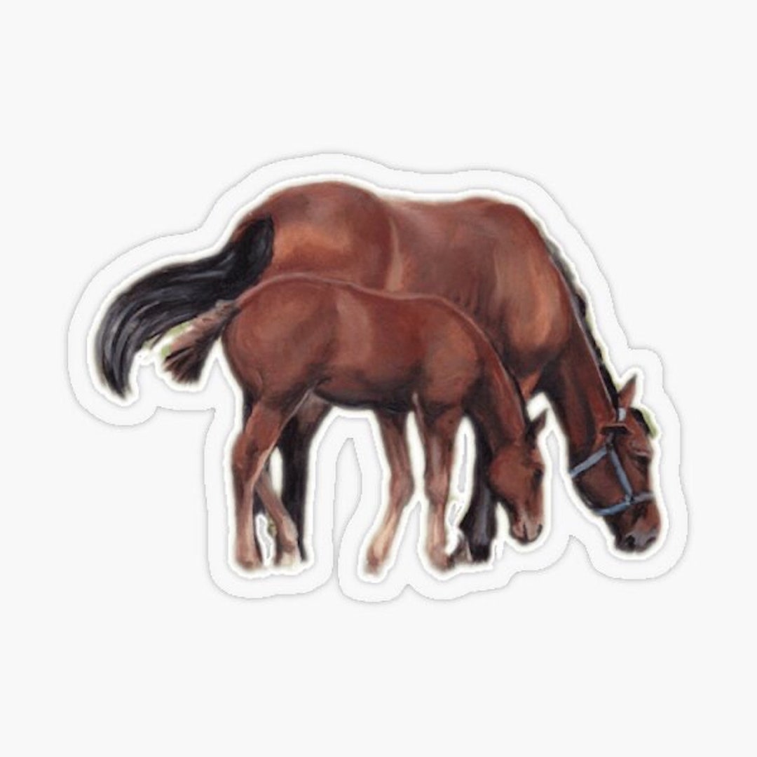 Horse Mare & Foal Equine Animal Art Clear Sticker Scrapbooking Crafts ...