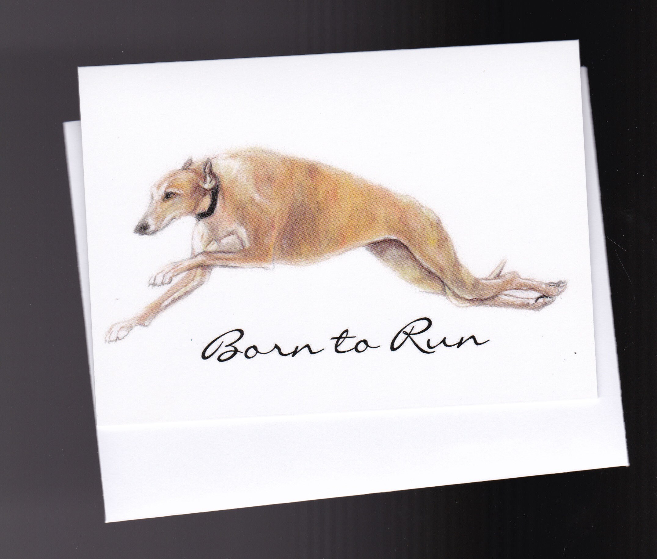 Greyhound Born to Run Canine Sighthound Dog Art Note Card - Etsy