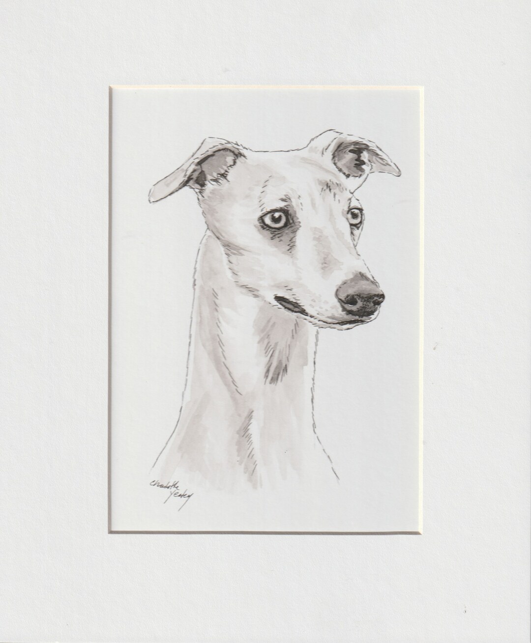 Whippet Original Ink Wash Head Study Drawing 8x10 Inch Matted - Etsy