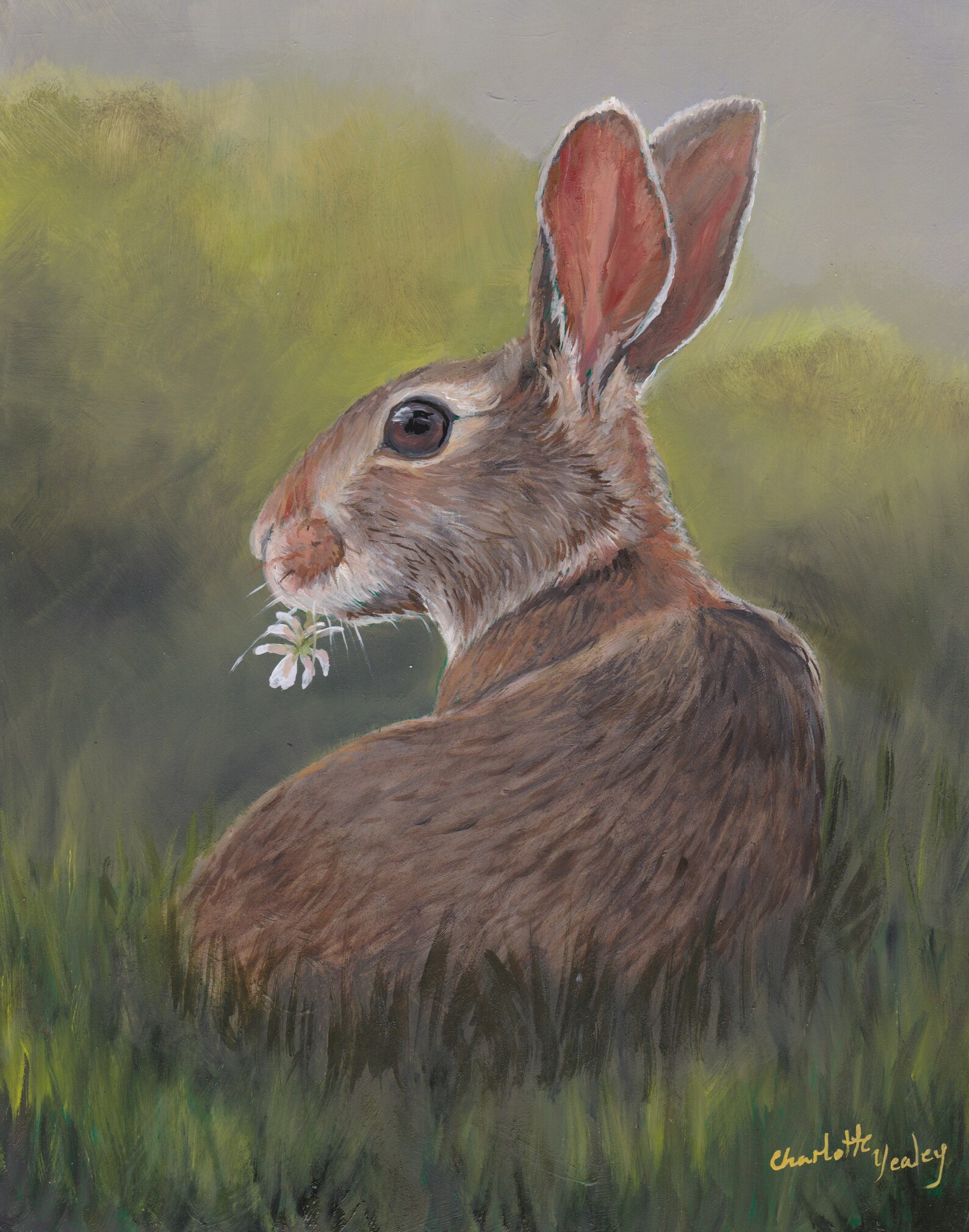 Bunny Rabbit Eating Clover Wildlife Animal Art Oil Painting - Etsy