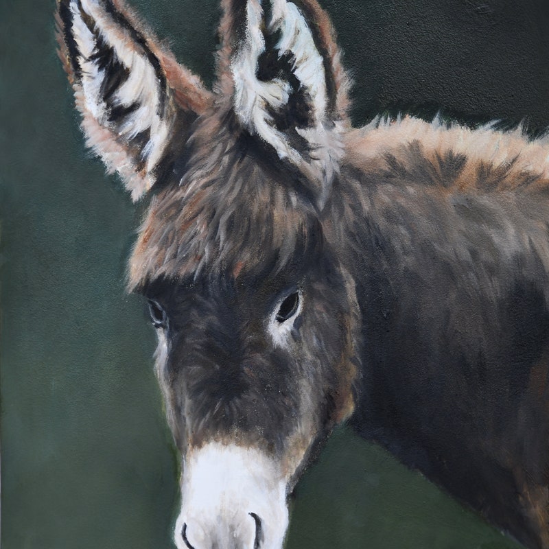 Donkey Paintings - Etsy