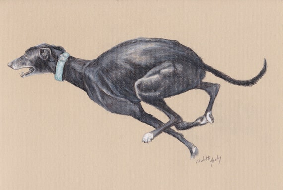 Greyhound Running Drawing