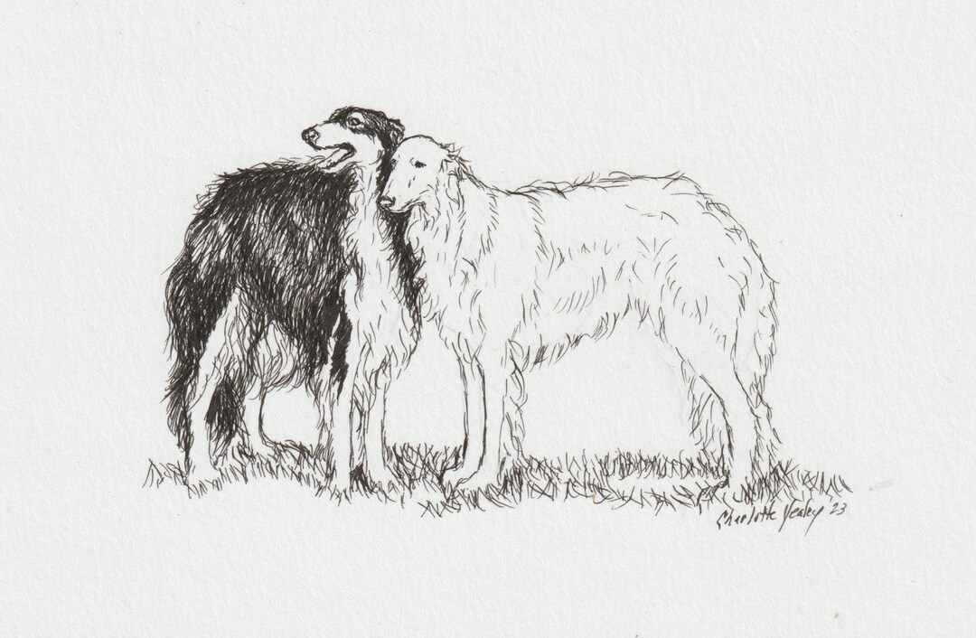 Borzoi Dog Art Original Ink Drawing Matted Framed 5x7 Inches - Etsy