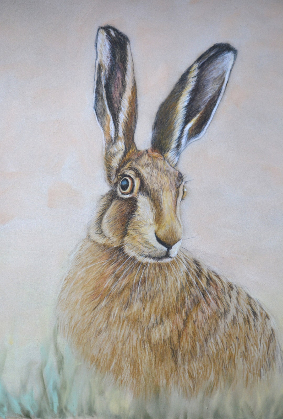 Mr. Hare Rabbit Original Art Pastel Drawing Matted Wood Framed 18x22 ...