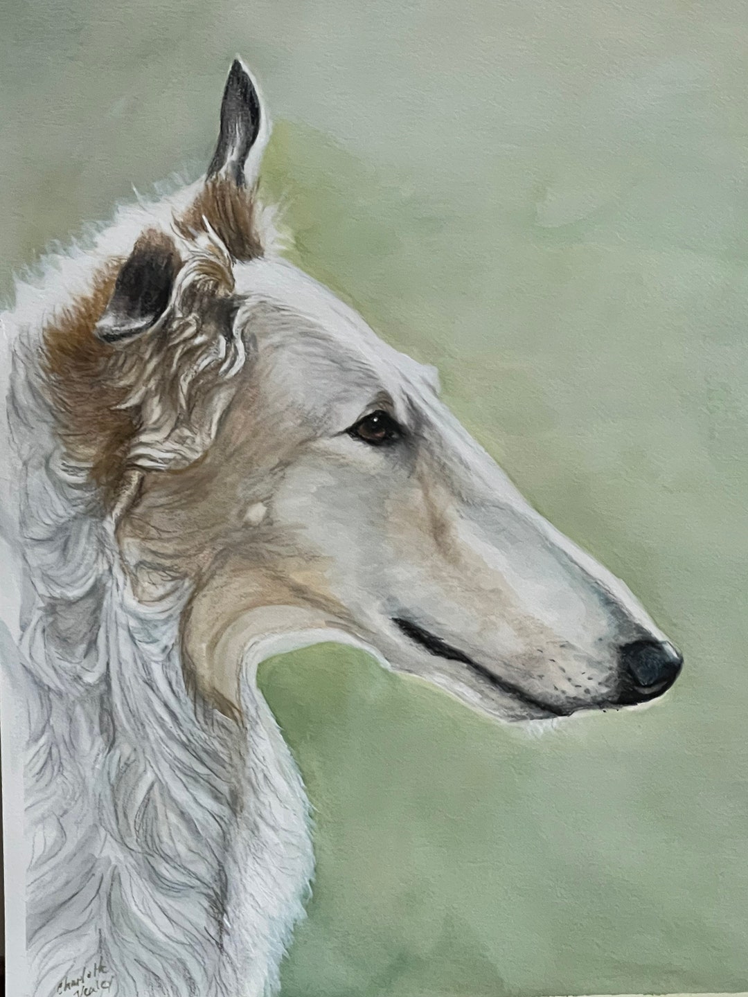 Borzoi Profile Head Study 12x16 Original Watercolor Painting Signed ...