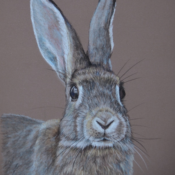 Colored Pencil Drawing - Etsy