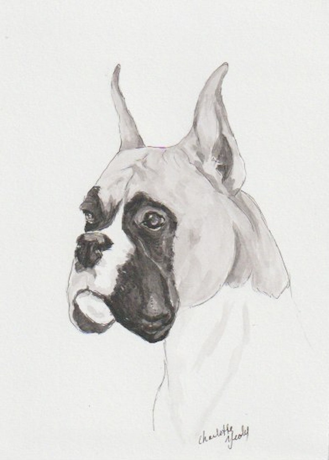 Boxer Original Ink Art Drawing Painting 5x7 Inch Matted to 8x10 - Etsy