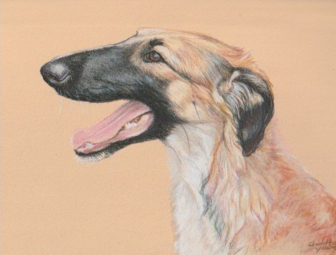 Borzoi Young Dog Art Portrait Canine Original Colored Pencil Drawing ...
