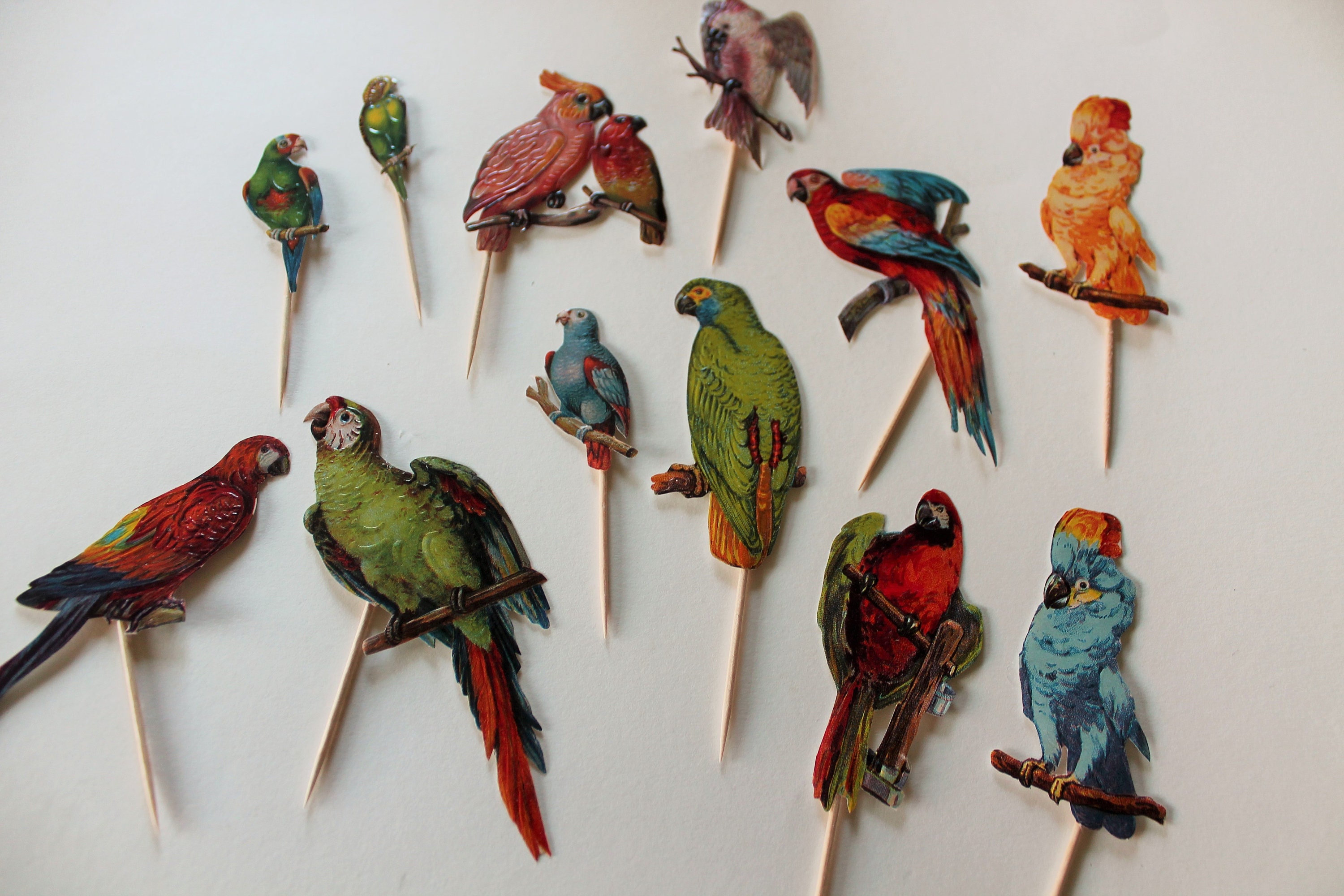 Cupcake toppers muffins parrot muffin decoration bird | Etsy