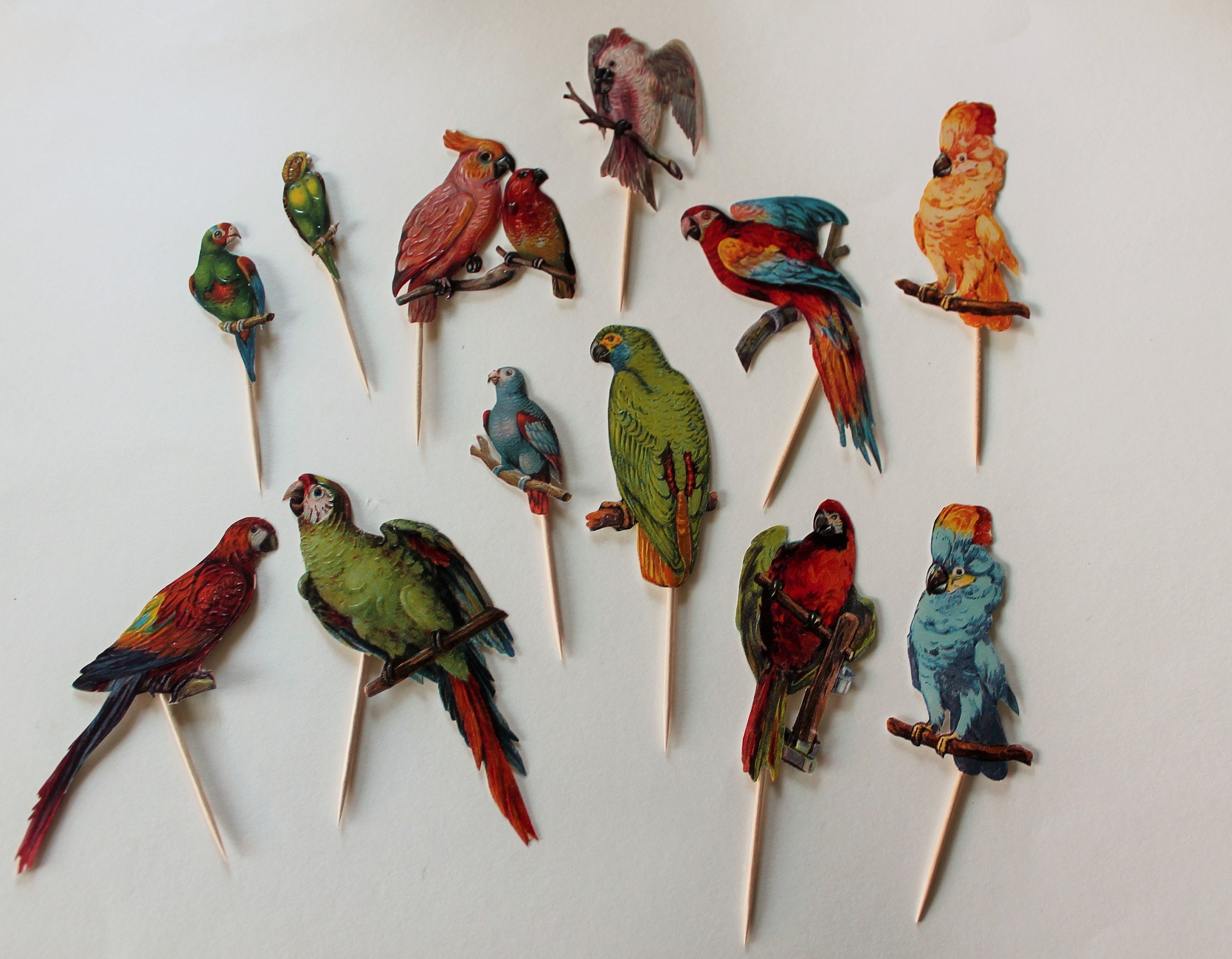 Cupcake Toppers Muffins Parrot Muffin Decoration Bird - Etsy Denmark