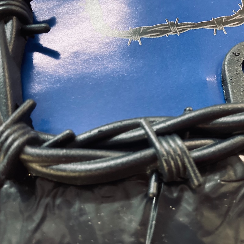 Barbed License Plate Frame - Etsy
