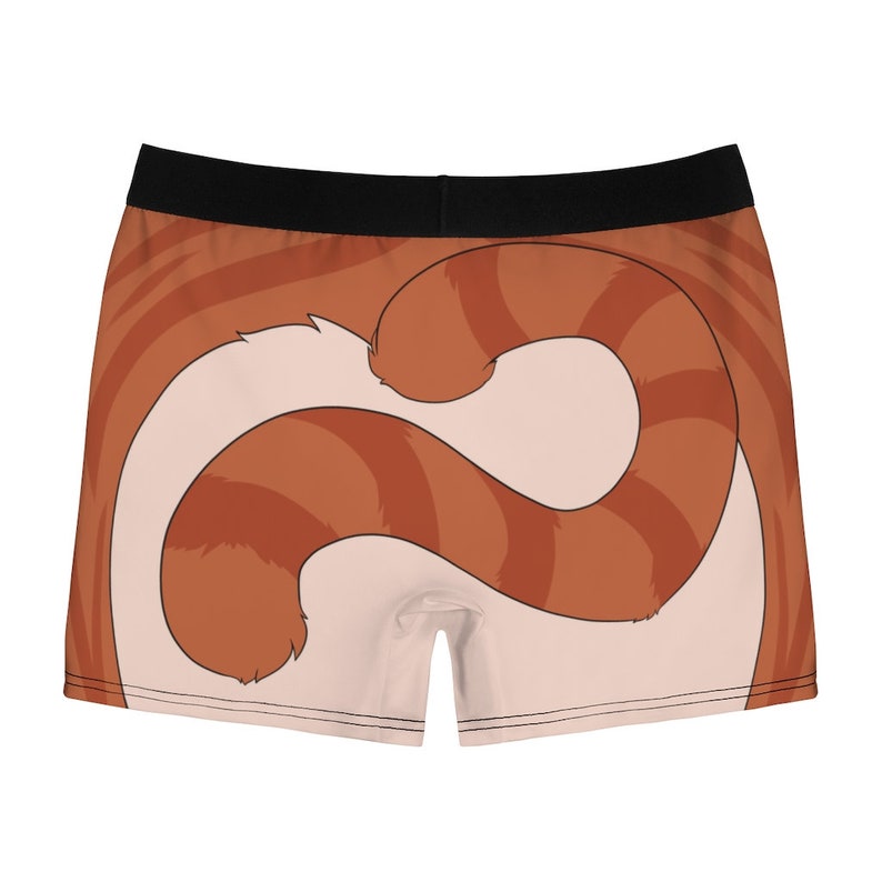 Orange Tabby Cat Boxer Briefs - Etsy