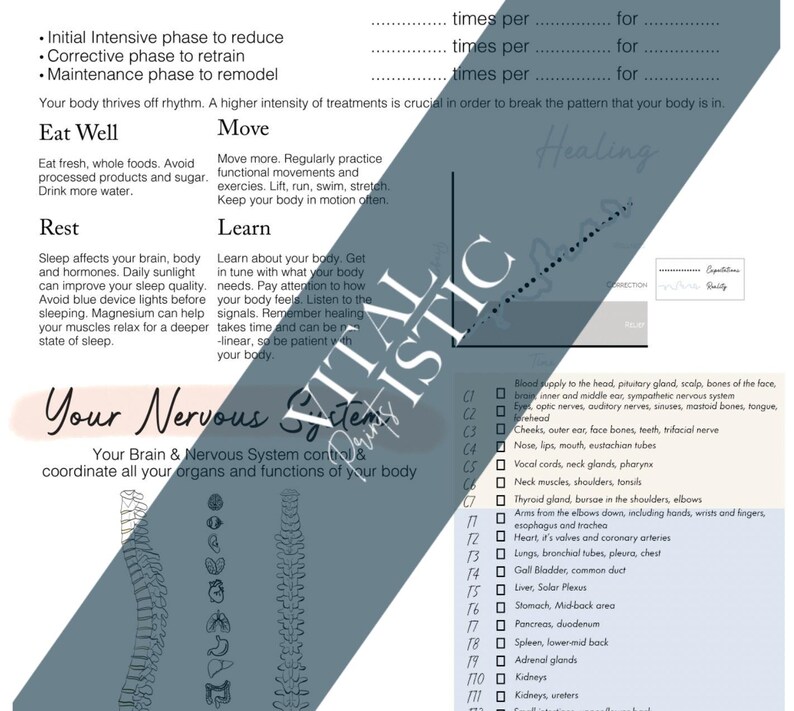 Chiropractic Report of Findings // Chiropractic // Subluxation ...