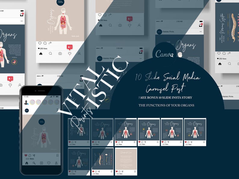 Medical Anatomy Template for Instagram Post // the Functions of Your ...