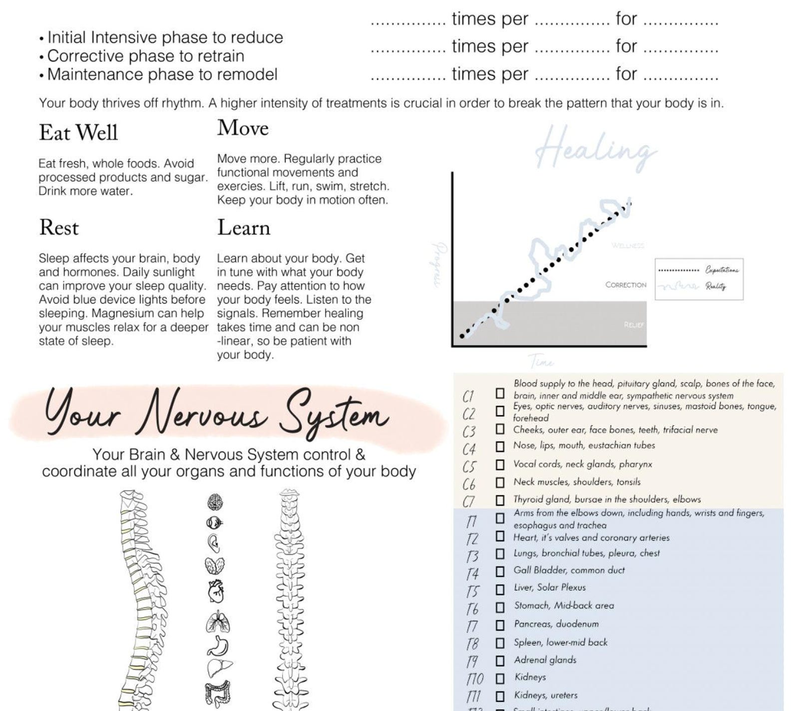 Chiropractic Report of Findings // Chiropractic // Subluxation ...
