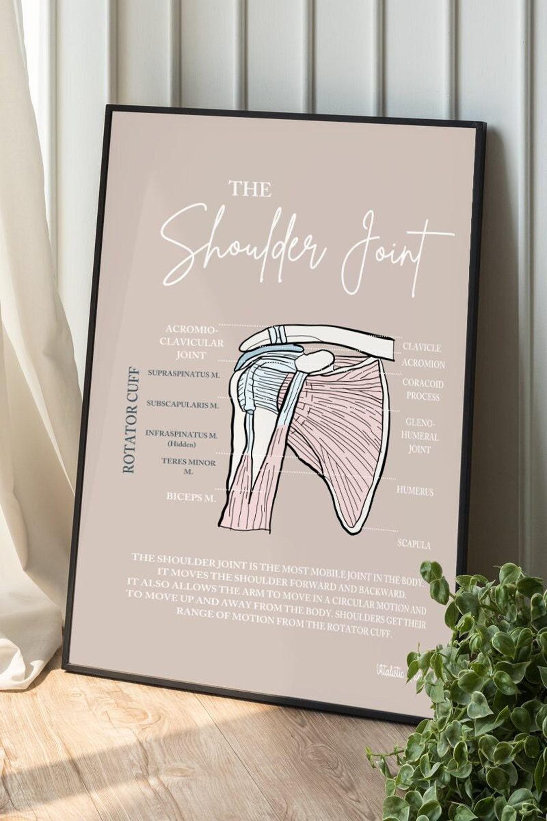 The Shoulder Joint Print // Chiropractic // Subluxation Complex ...