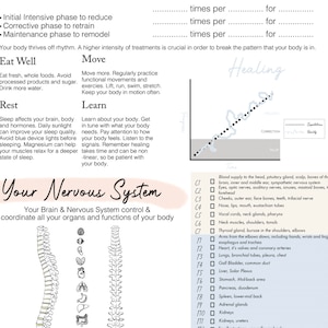 Chiropractic Report of Findings // Chiropractic // Subluxation ...