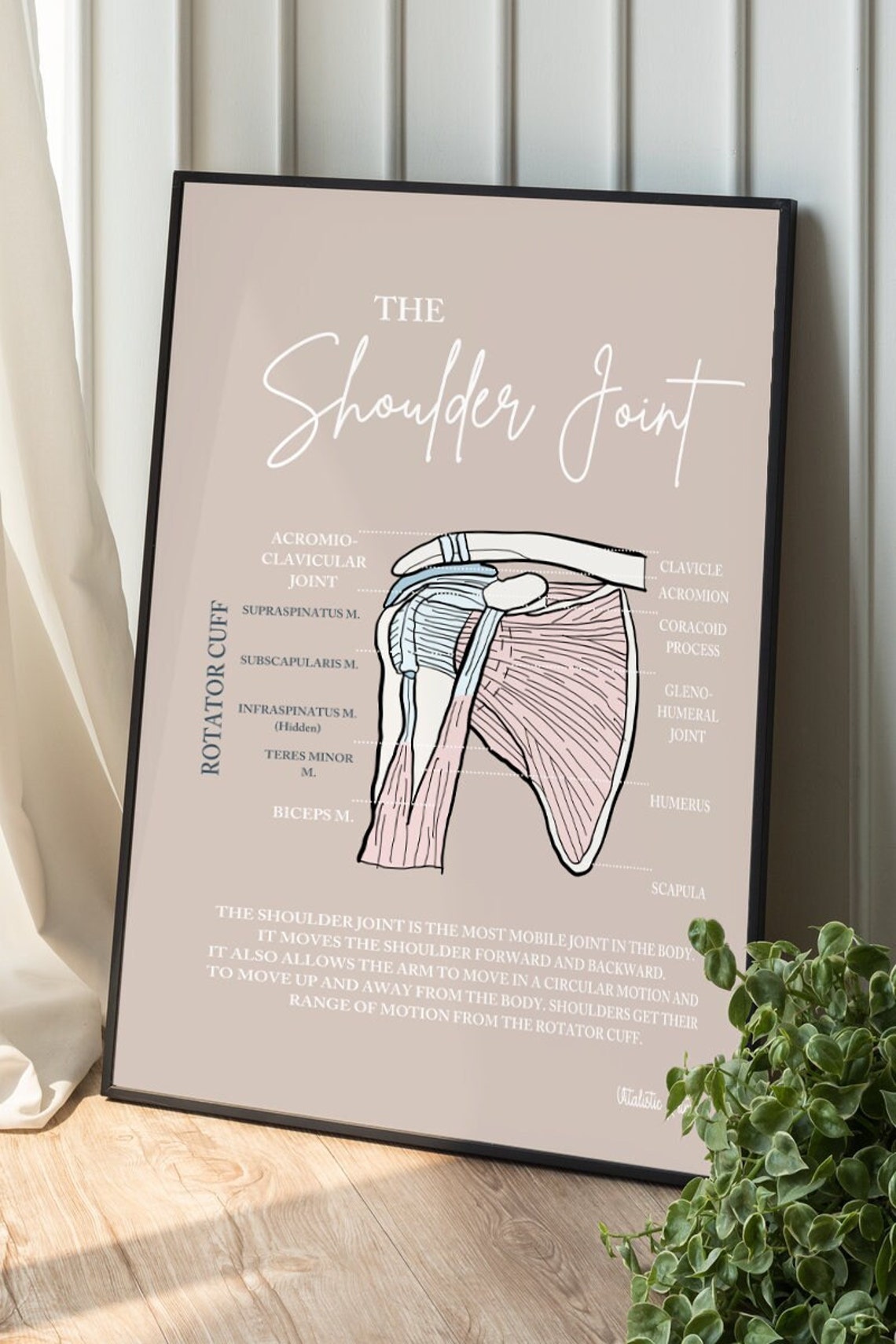 The Shoulder Joint Print // Chiropractic // Subluxation - Etsy