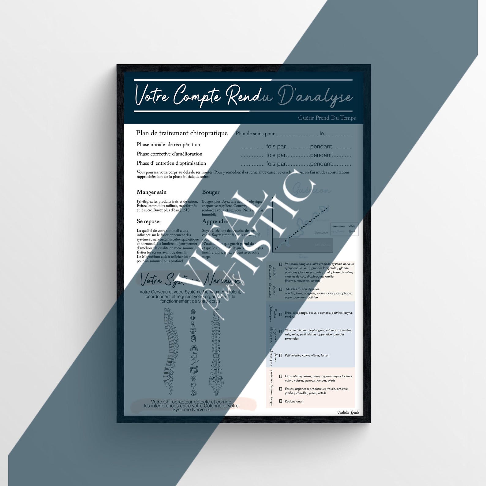 Chiropractic Report of Findings // Chiropractic // Subluxation ...