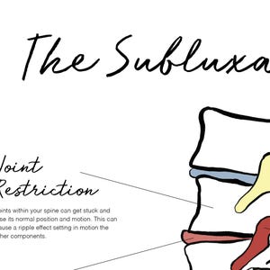 Subluxation Model // Chiropractic // Subluxation Complex // Symptoms ...