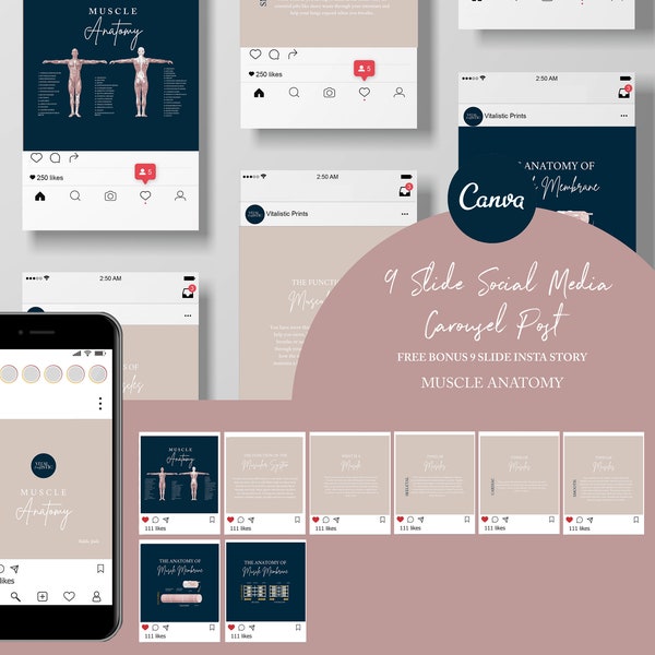 Muscle Anatomy - Etsy