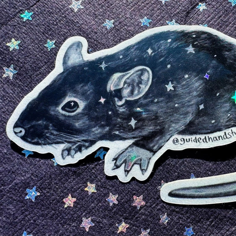 Rat Sticker - Etsy