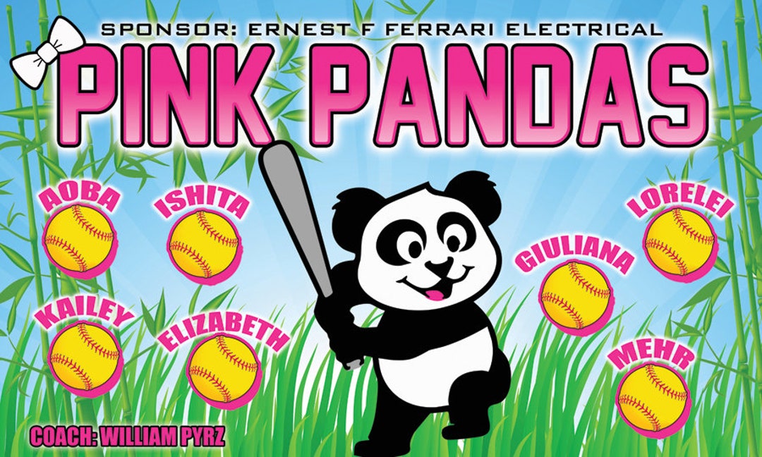 Pink Pandas Baseball or Softball Team Banner - (3ft X5ft) Your Team ...