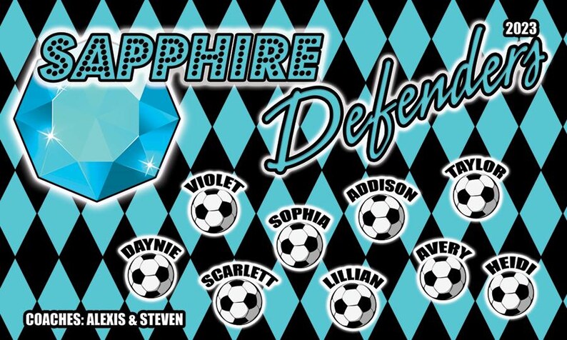 Sapphire Defenders - Soccer Team Banner - Any Team Name - Choose Size ...