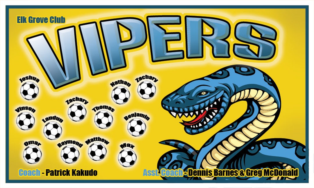 Cobras/vipers/pythons Soccer Team Banner 3ft X5ft Your Team Name and ...