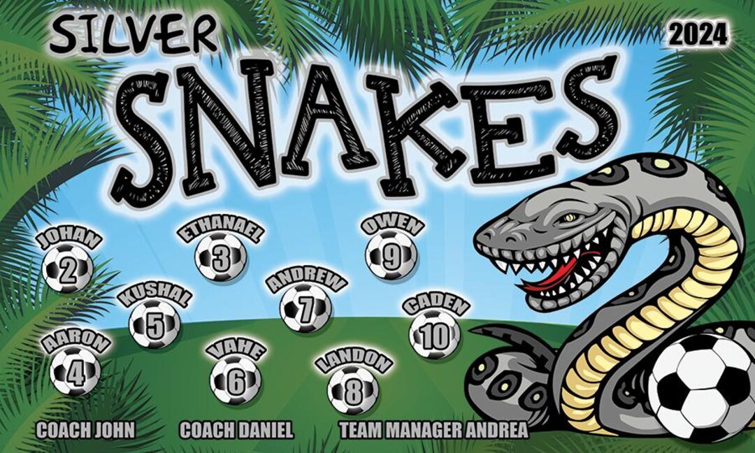Silver Snakes - Soccer Team Banner - Any Team Name - Choose Size ...