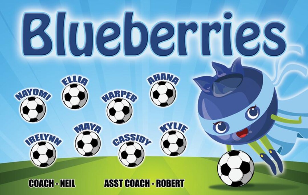 Blueberries - Soccer Team Banner - Any Team Name - Choose Size - Custom ...