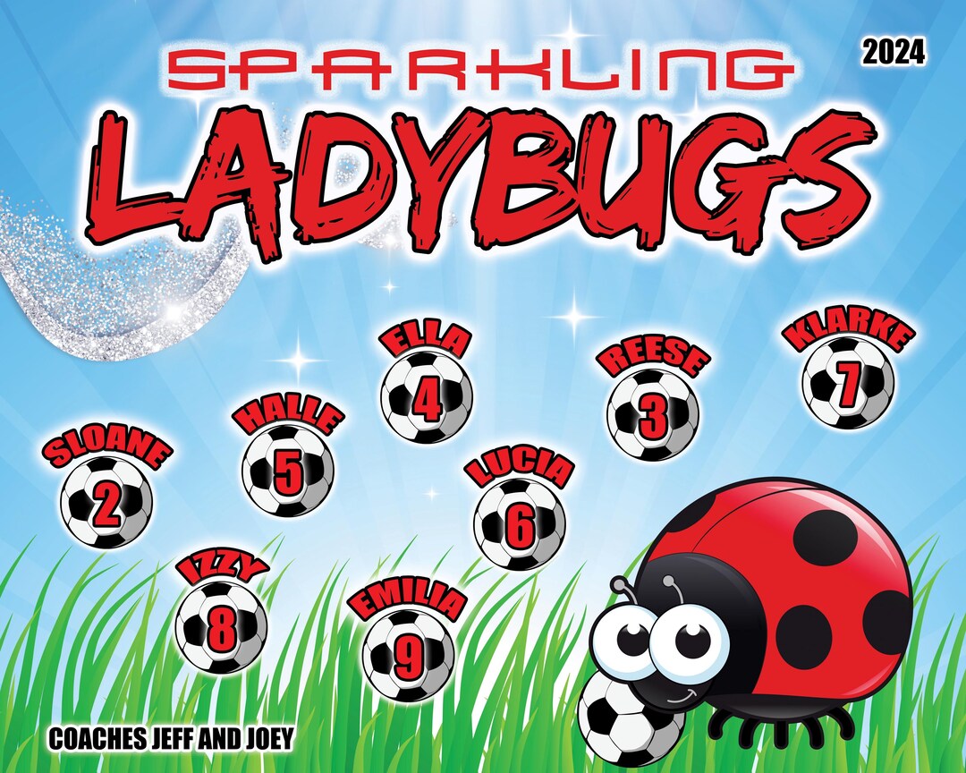 Sparkling Ladybugs - Soccer Team Banner - Any Team Name - Choose Size ...