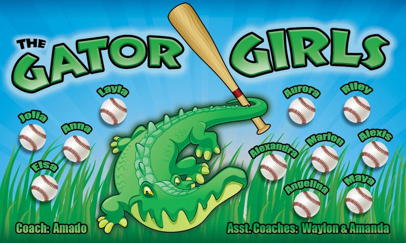 Pirates Baseball or Softball Team Banner - (3ft X5ft) Your Team Name ...