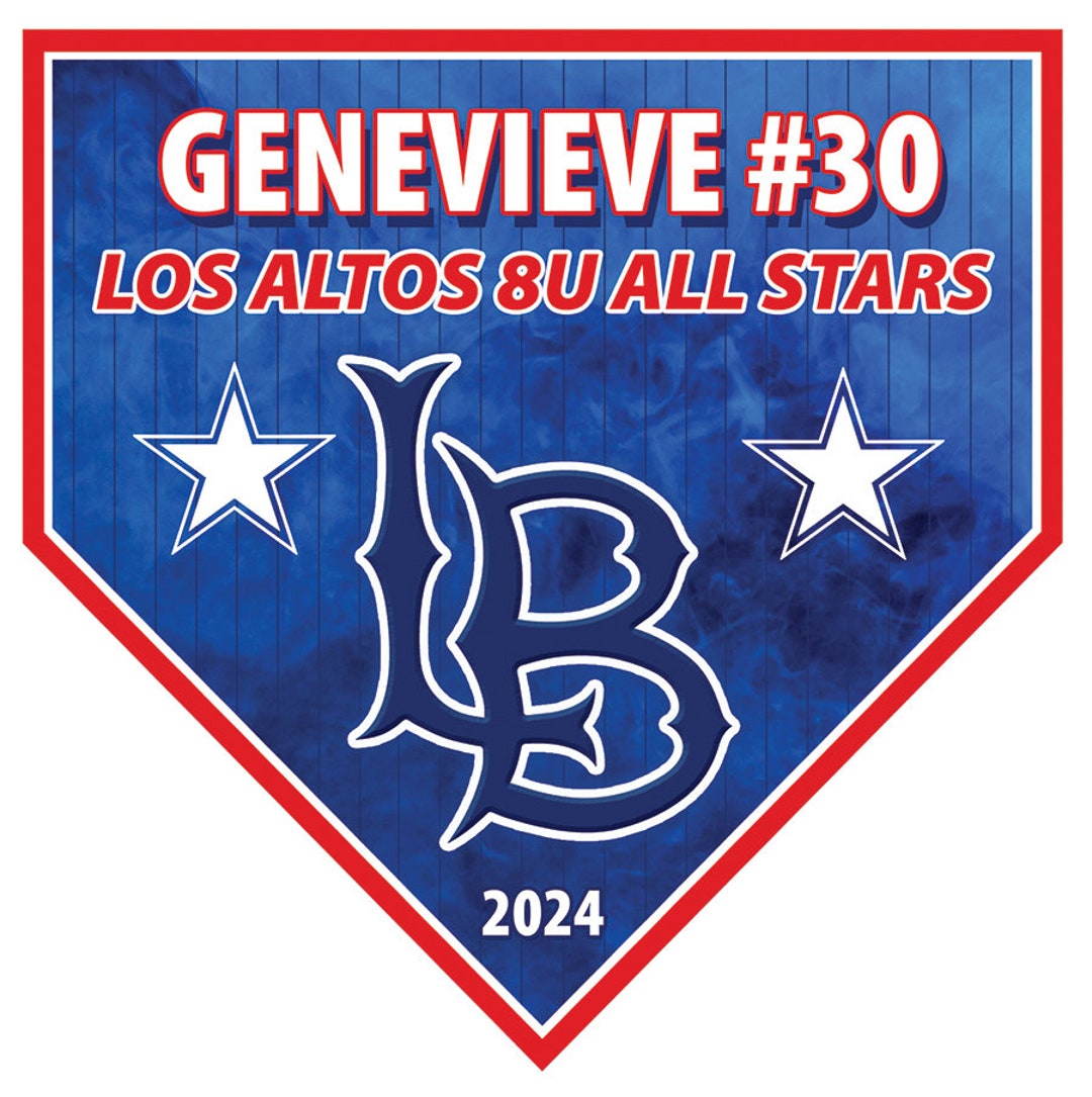 ALL STARS - Team Player Pennants - Baseball - Softball or Any Sport ...