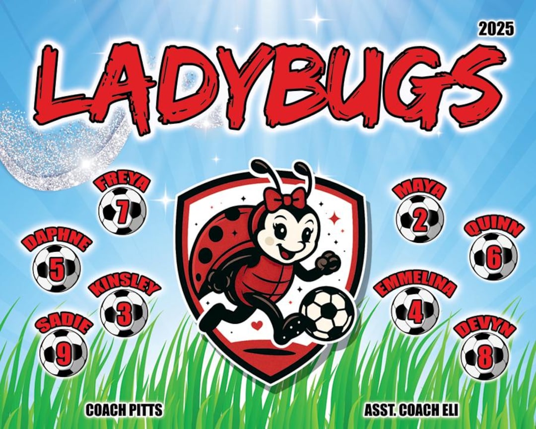 Ladybugs / Girls - Soccer Team Banner - Any Team Name - Choose Size ...