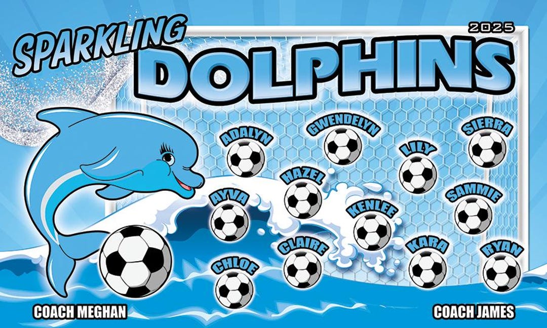 Sparkling Dolphins - Soccer Team Banner - Any Team Name - Choose Size ...