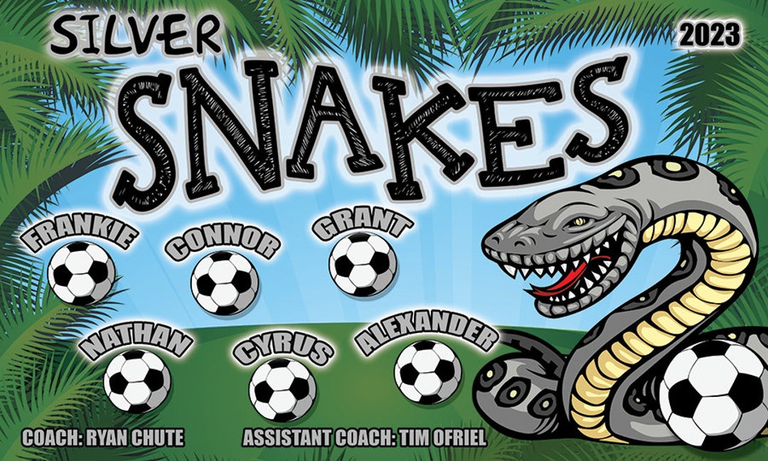 SILVER SNAKES Soccer Team Banner Any Team Name Choose Size Custom ...